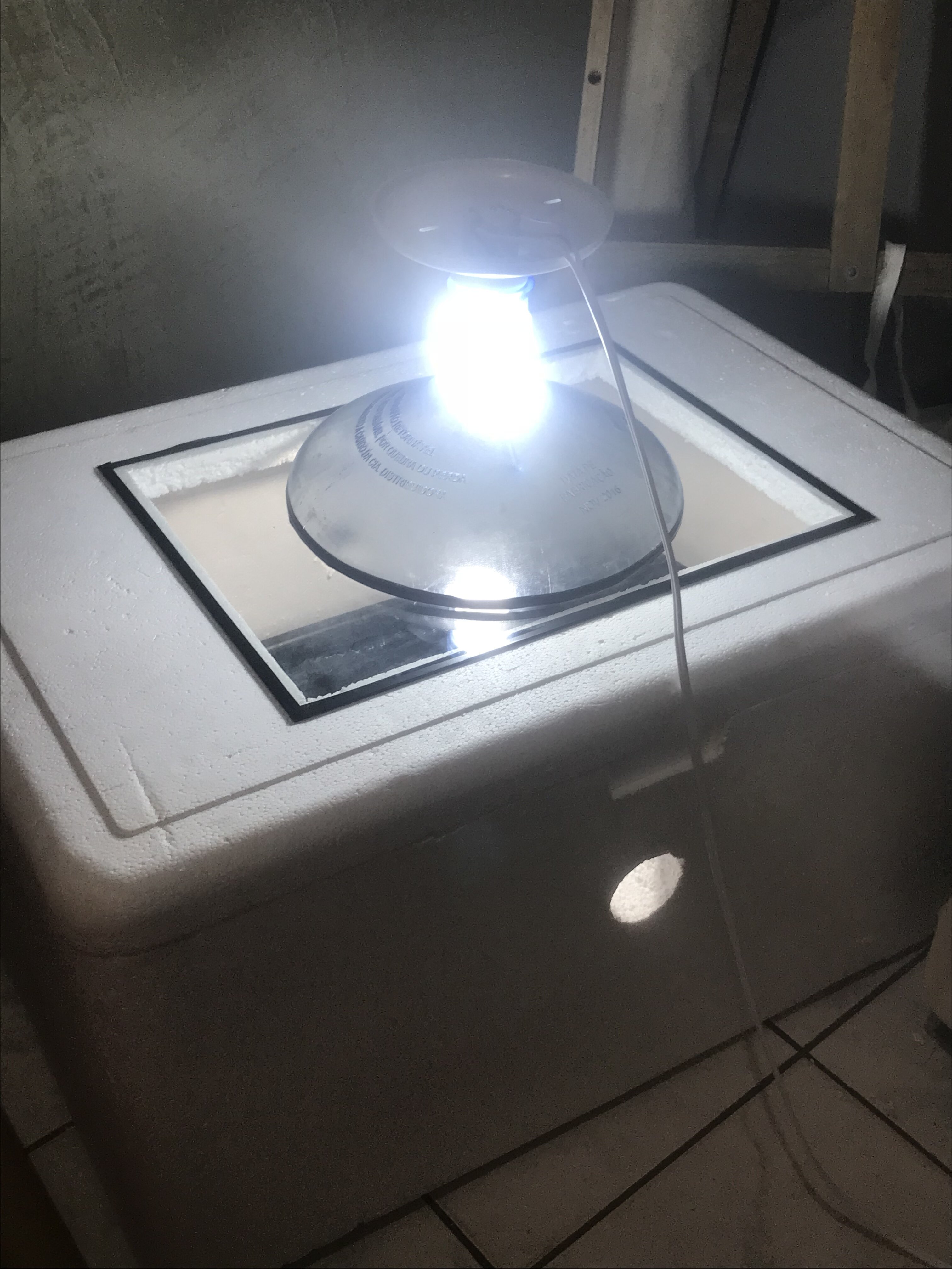 A62B4C8C-AB2A-4D7E-BB07-30DB7D751A7F.jpeg | Teonanacatl.org