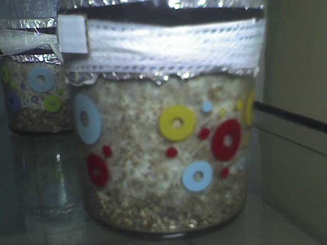 pote branco.jpg | Teonanacatl.org